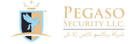 Pegaso Security